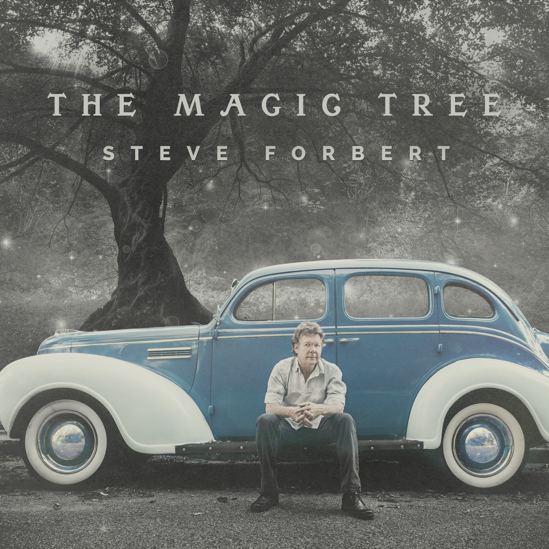 Steve Forbert discusses new album 'The Magic Tree', his memoir ...